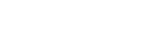 Emission Microscopy (EMMI) - MuAnalysis